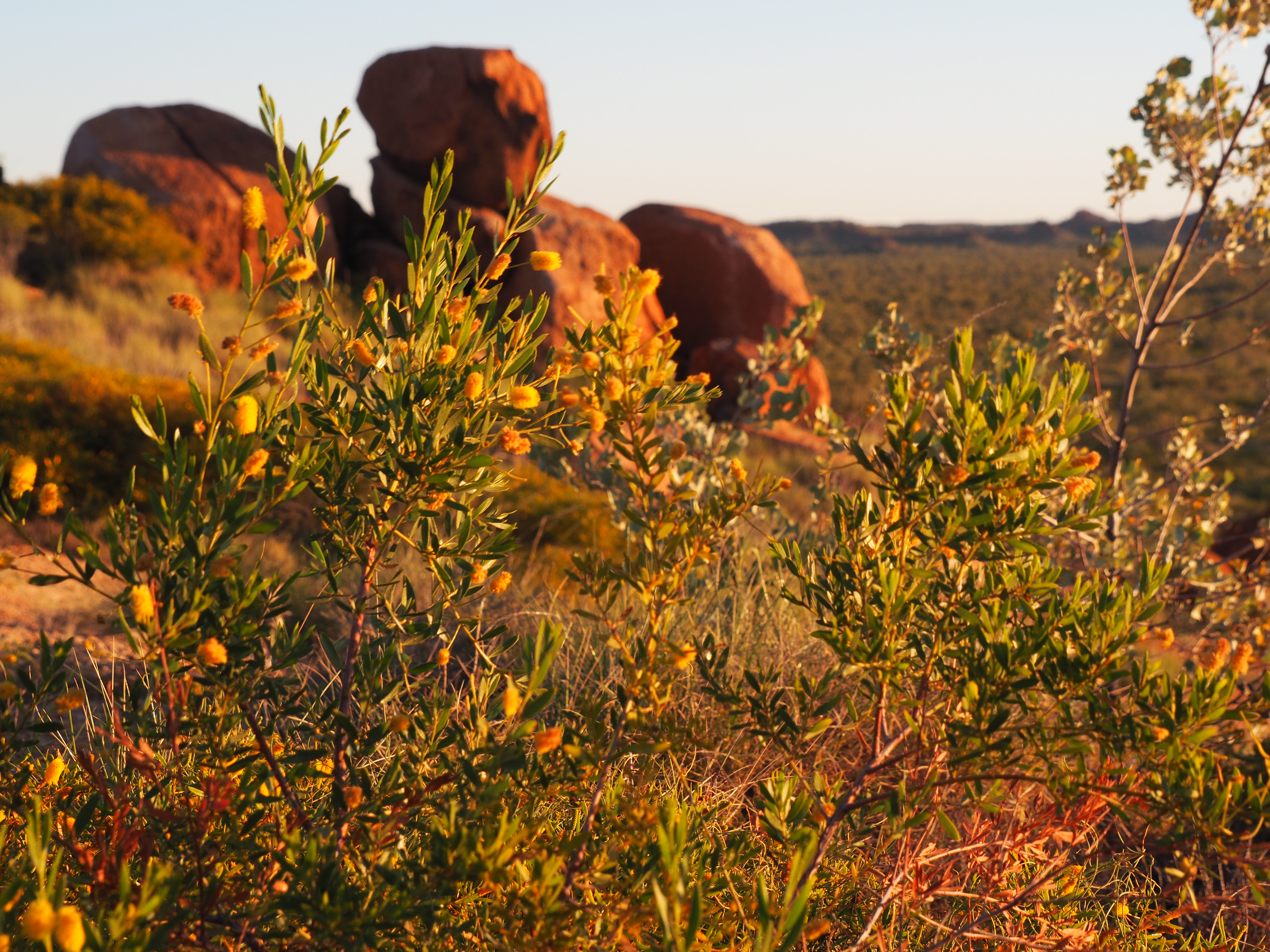 Mount Isa – Excursions in the Spinifex – Travels in the Sublime